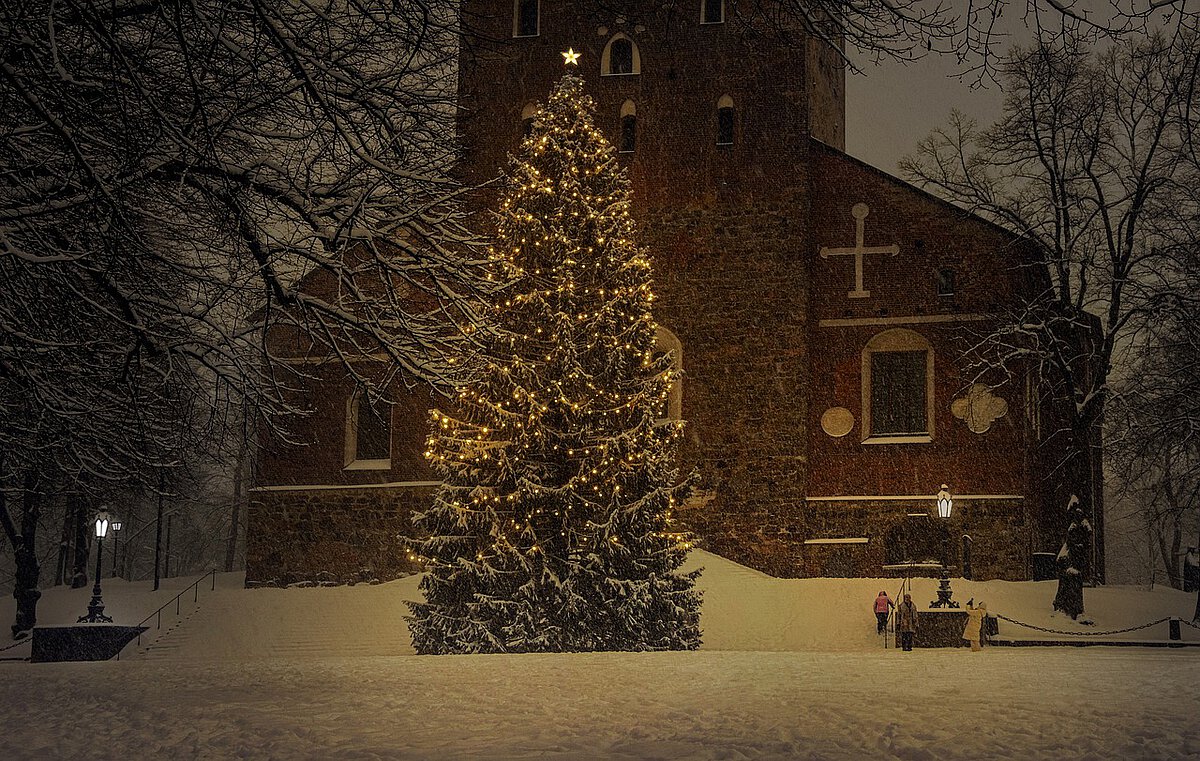 Wie der Christbaum nach Wien kam - Der SONNTAG